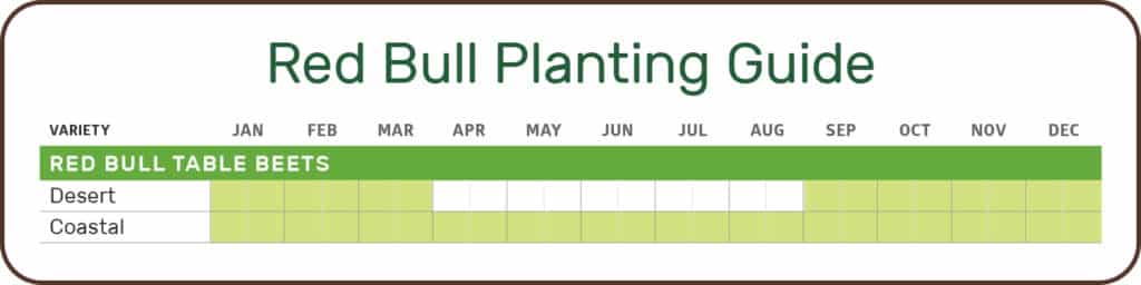 Red Bull Table Beets - Pinnacle Seed