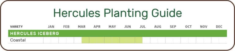 Hercules - Pinnacle Seed