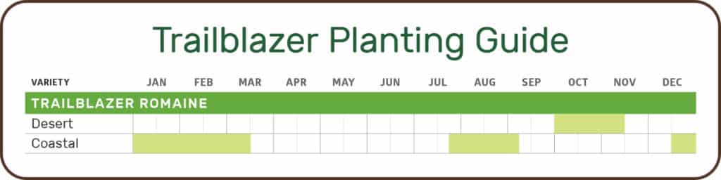 Trailblazer - Pinnacle Seed